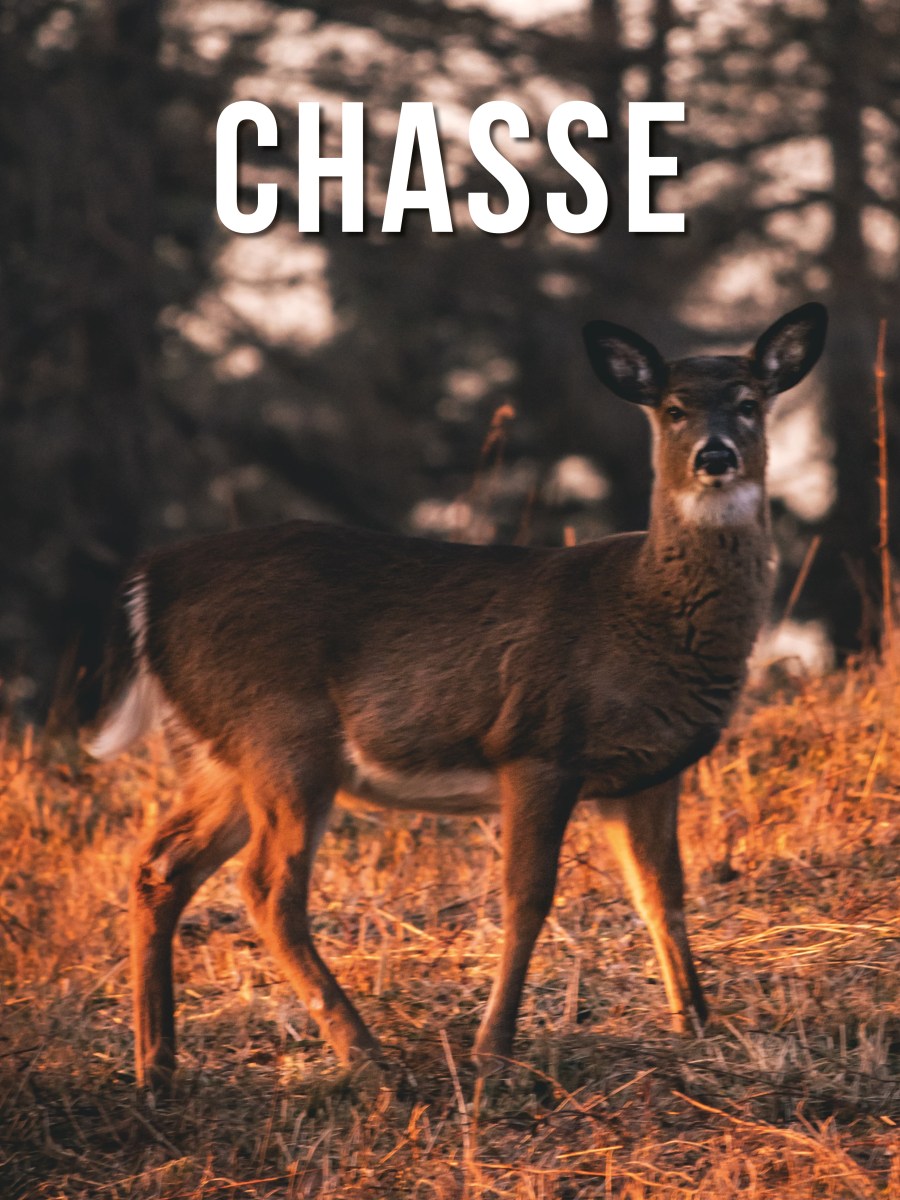 Dépôt Chasse & Pêche