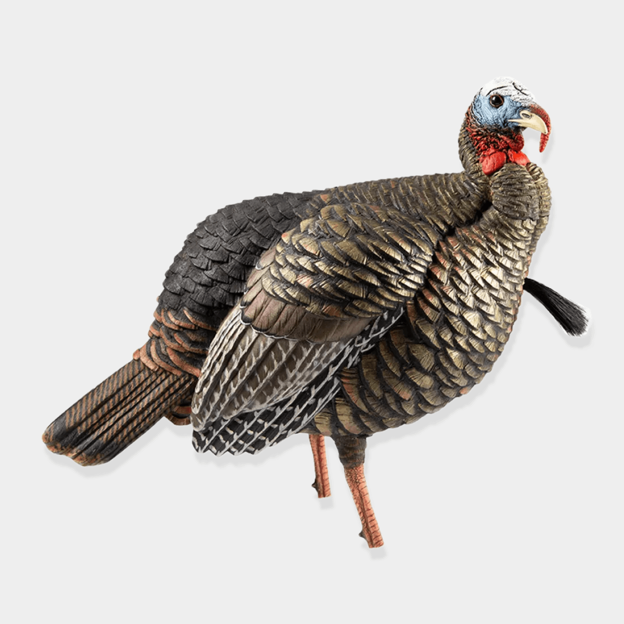 Appelant à dindon jake HDR - AVIAN X - Dépôt Chasse & Pêche